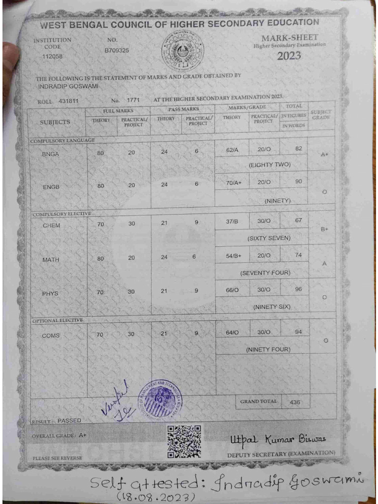 Class 12 Marksheet(Ig) | PDF