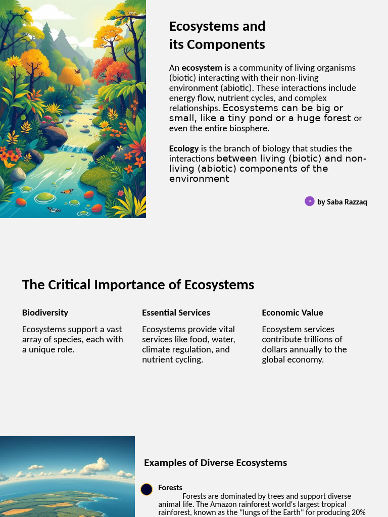 Ecosystem and Its Components | PDF | Ecosystem | Food Web