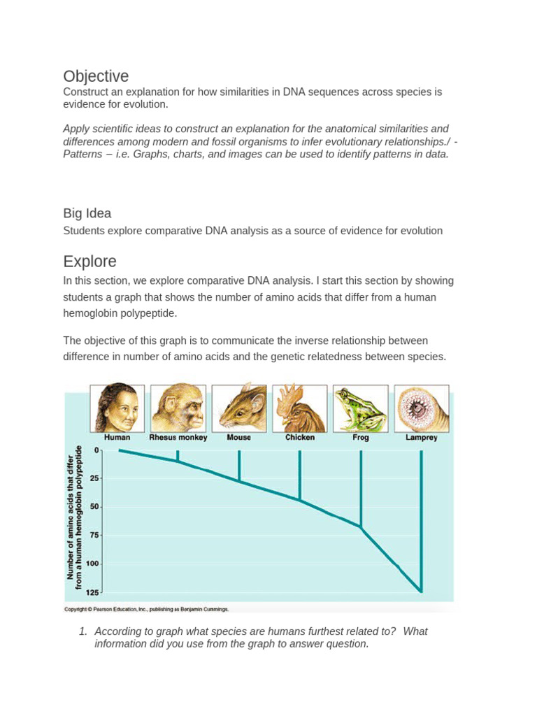 DNA Similarities Between Species | PDF | Nucleic Acid Sequence | Gene