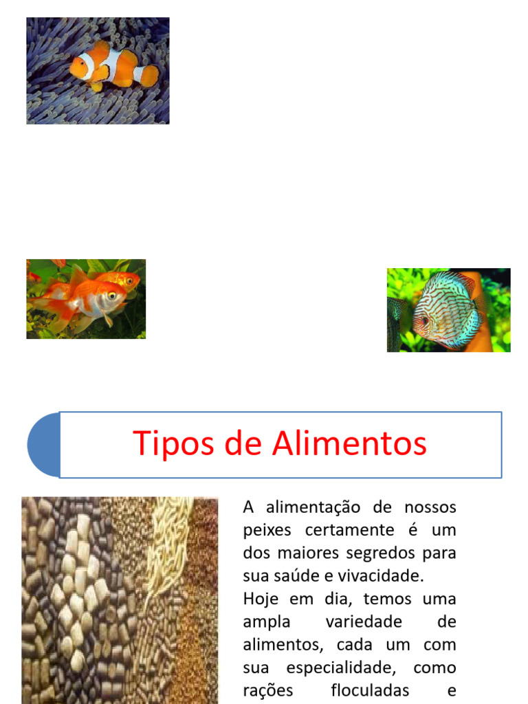 Cultivo de Peixes Ornamentais Aula 4 | PDF | Alimentos | Vitamina