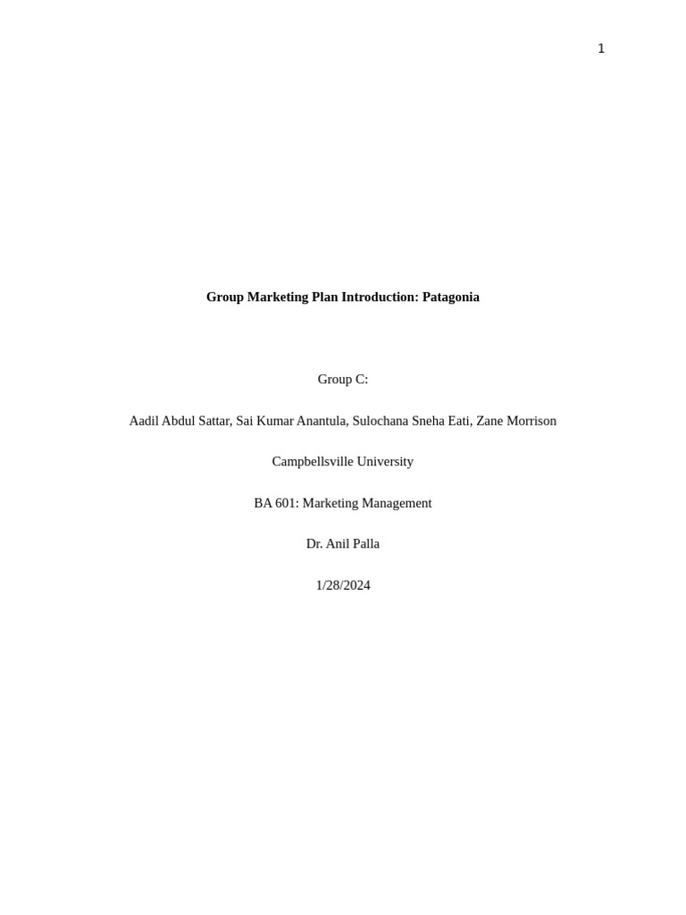 Group Marketing Plan Introduction | PDF | Business | Economies