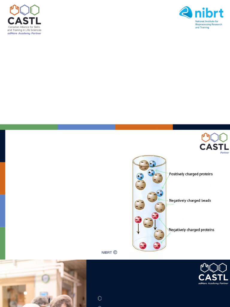 Lecture 8 - Chromatography and Column Packing | PDF | Chromatography ...