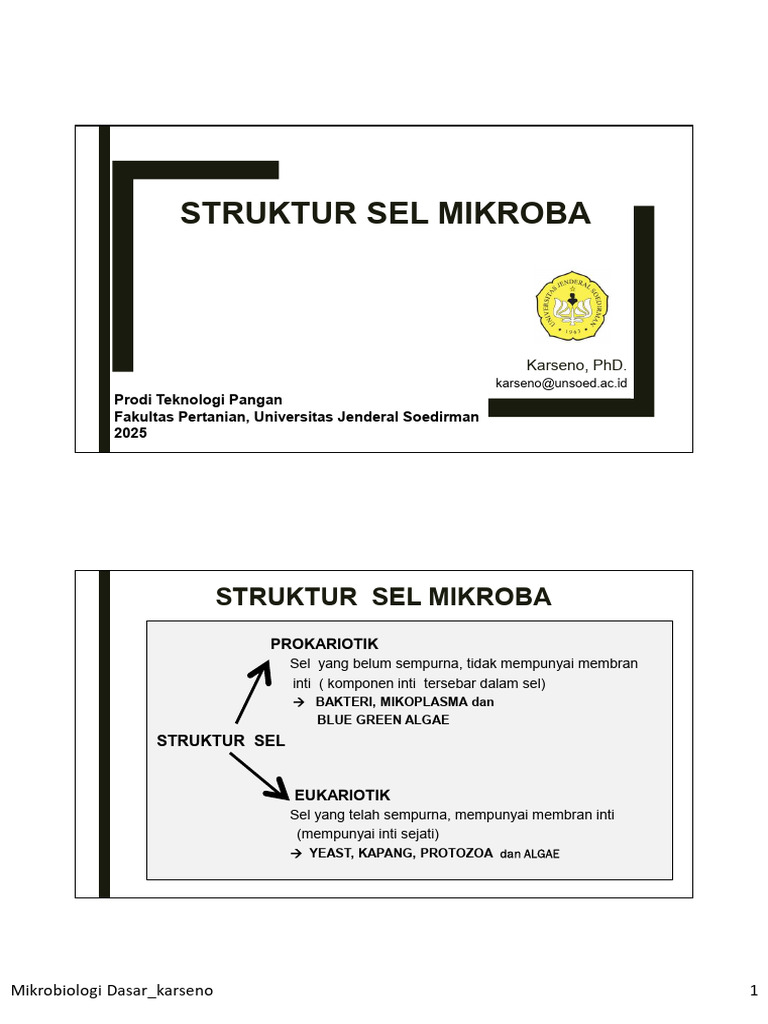 2a. Struktur Dan Morfologi Sel - Prokariot - K | PDF