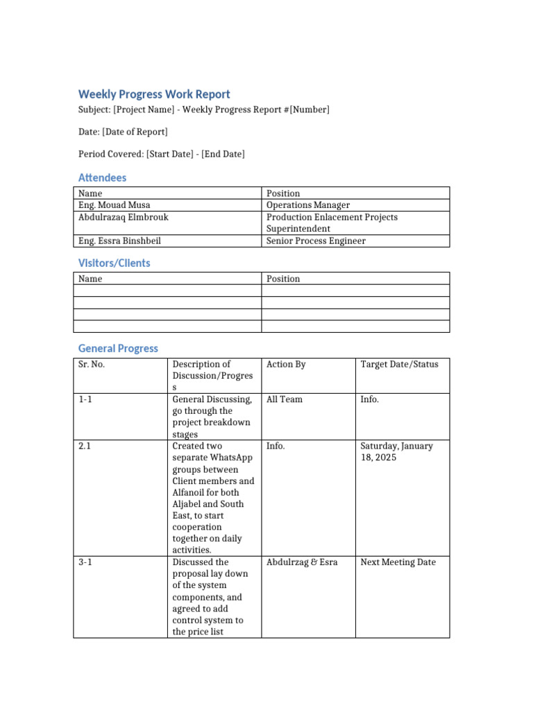 Weekly Progress Work Report | PDF