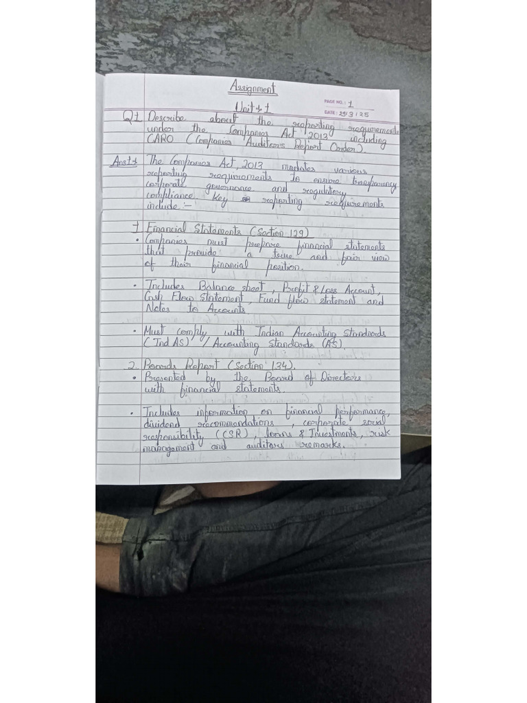 Audit assignment | PDF