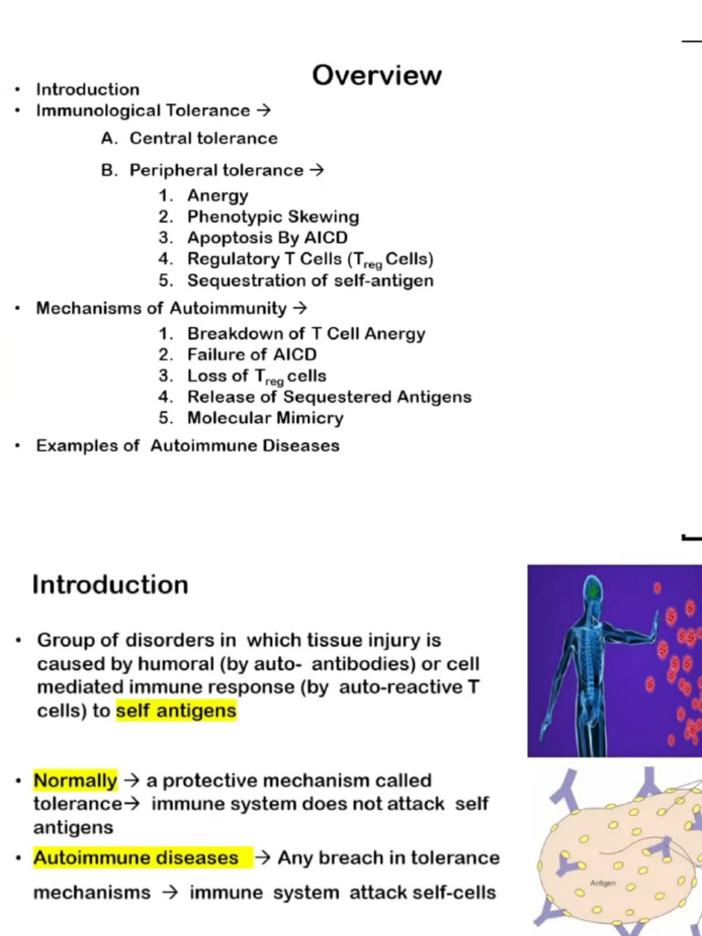 Auto Immunity | PDF