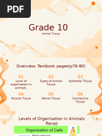 Animal Tissue Grade 10 Term 3 Notes Summaries | PDF