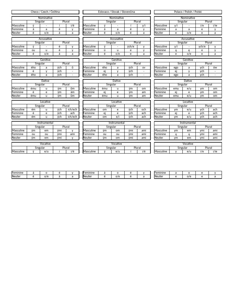 Slavic Declinations Final | PDF