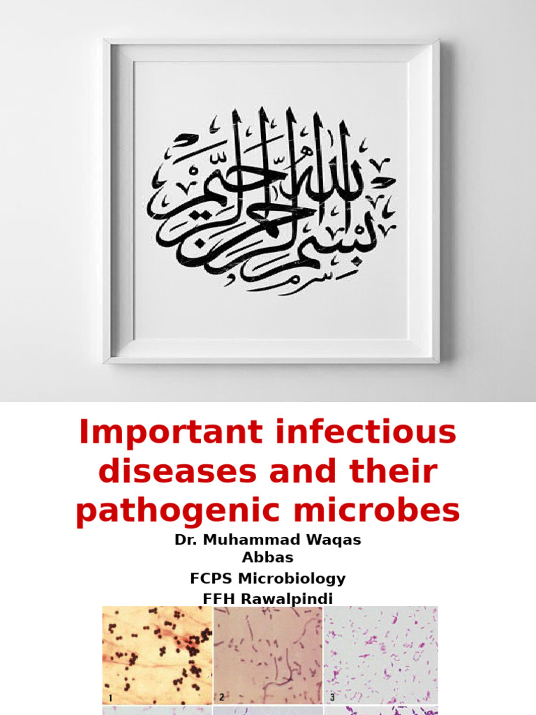Important Diseases and Pathogens Half Left | PDF | Infection | Bacteria