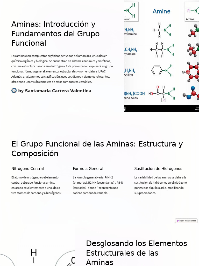 Aminas Introduccion | PDF | Amina | Grupo funcional