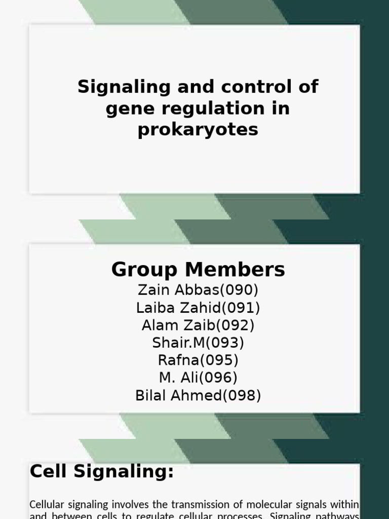 Cell Signaling and Gene Regulation in Prokaryotes | PDF | Operon | Cell ...