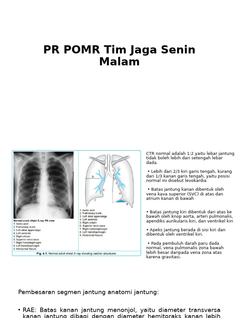 Panduan Ro Thorax Basic | PDF