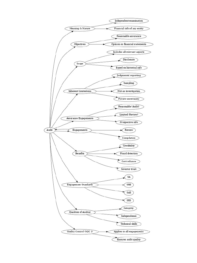Audit_Chapter1_MindMap | PDF