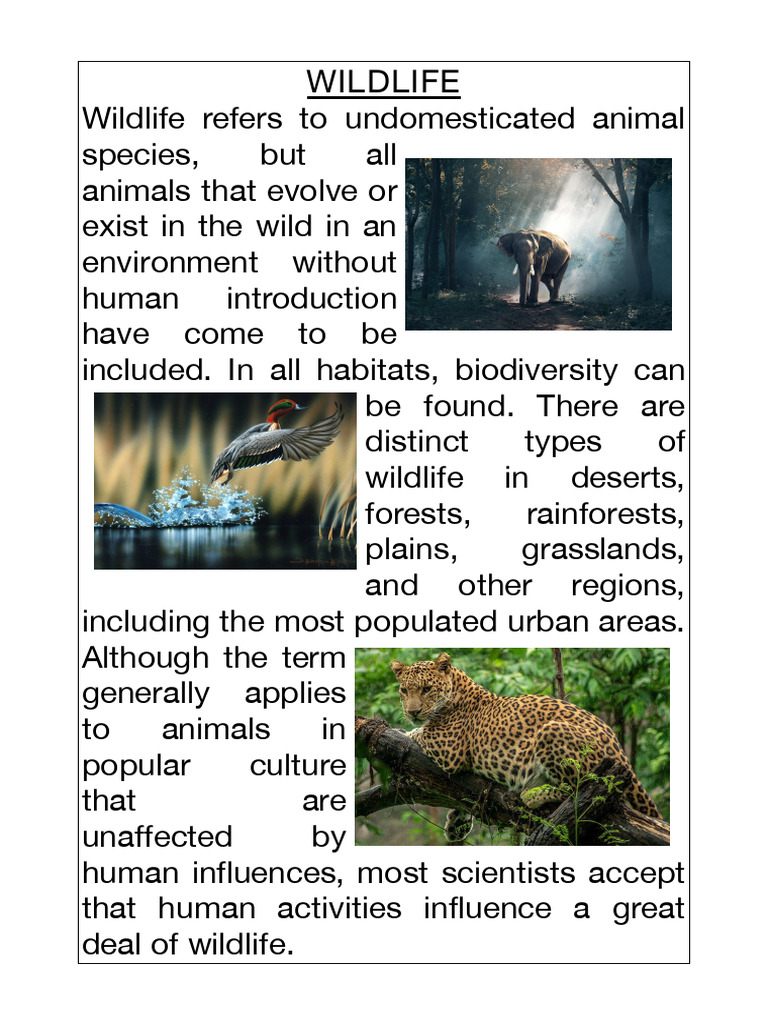 Wildlife | PDF