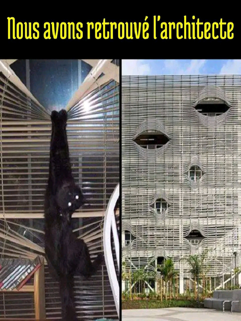 PDF Phoenix 20250518 104650 | PDF