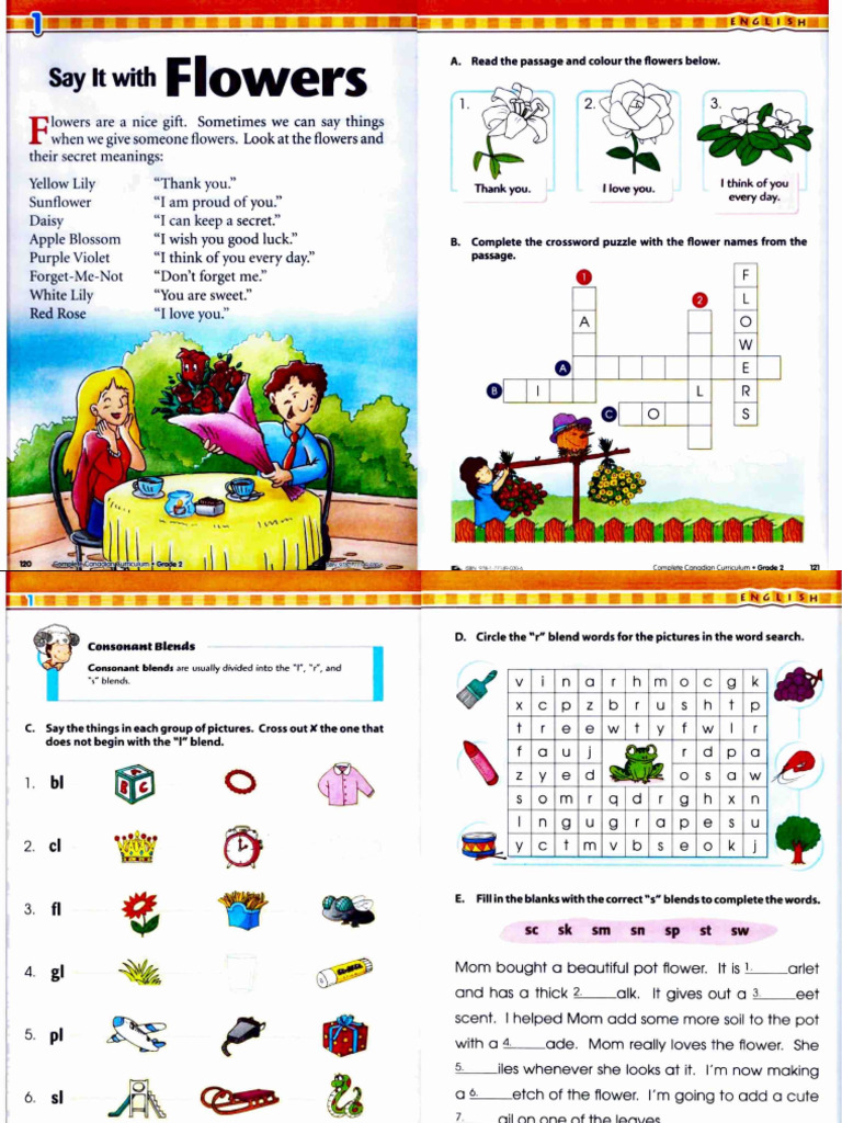Complete Canadian Curriculum Grade 2 Export | PDF