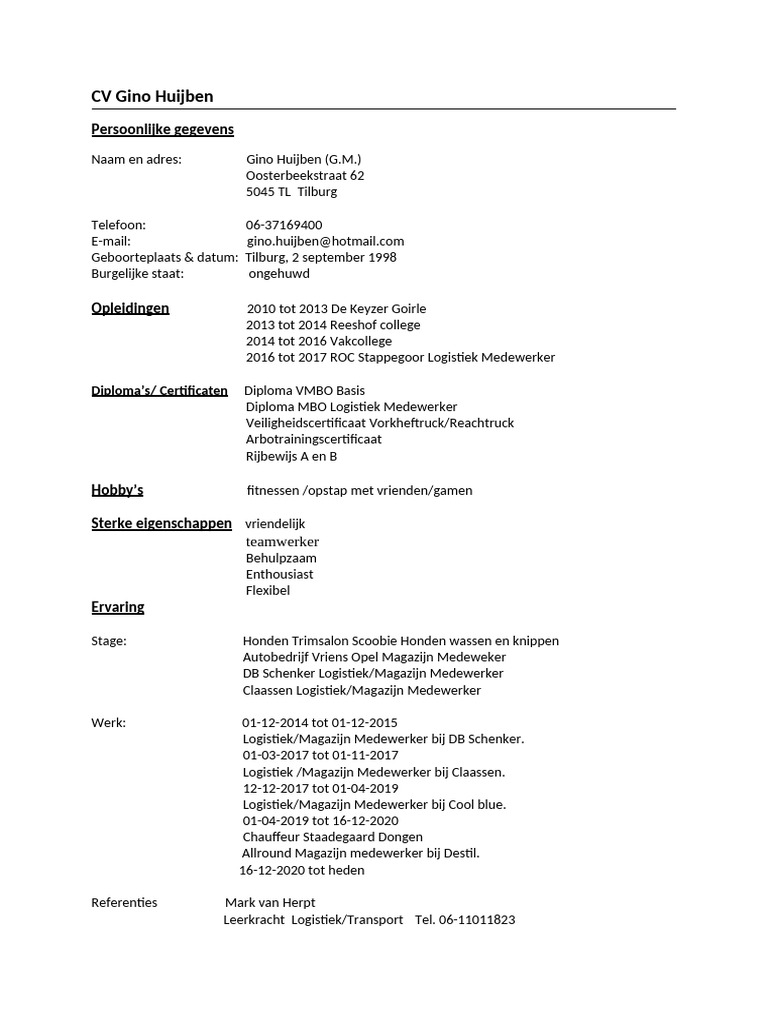 Curriculum Vitae Gino - Kopie | PDF
