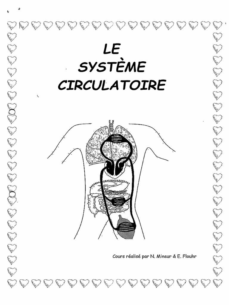 Iness - Physiologie Et Anatomie 3 - Le Système Circulatoire | PDF