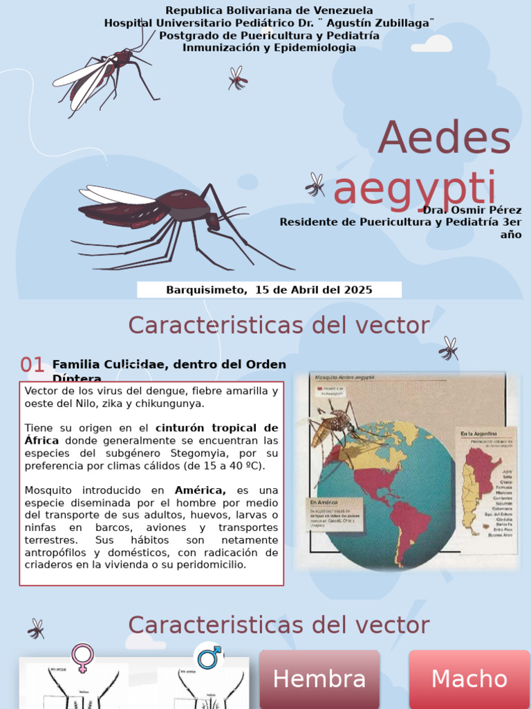 Ciclo Del Aedes Aegypti | PDF | Mosquito | Aedes aegypti