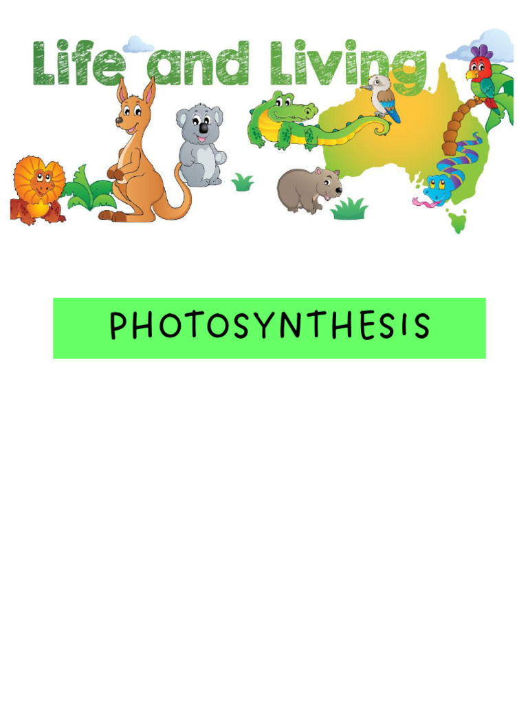 2023 Grade 8 Photosynthesis Notes | PDF | Leaf | Photosynthesis
