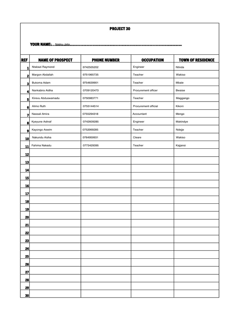 Copy-Project 30 Template | PDF