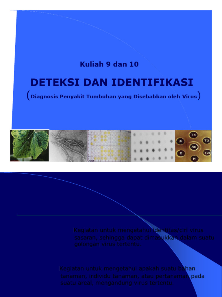 Kuliah 9 Deteksi Dan Identifikasi | PDF