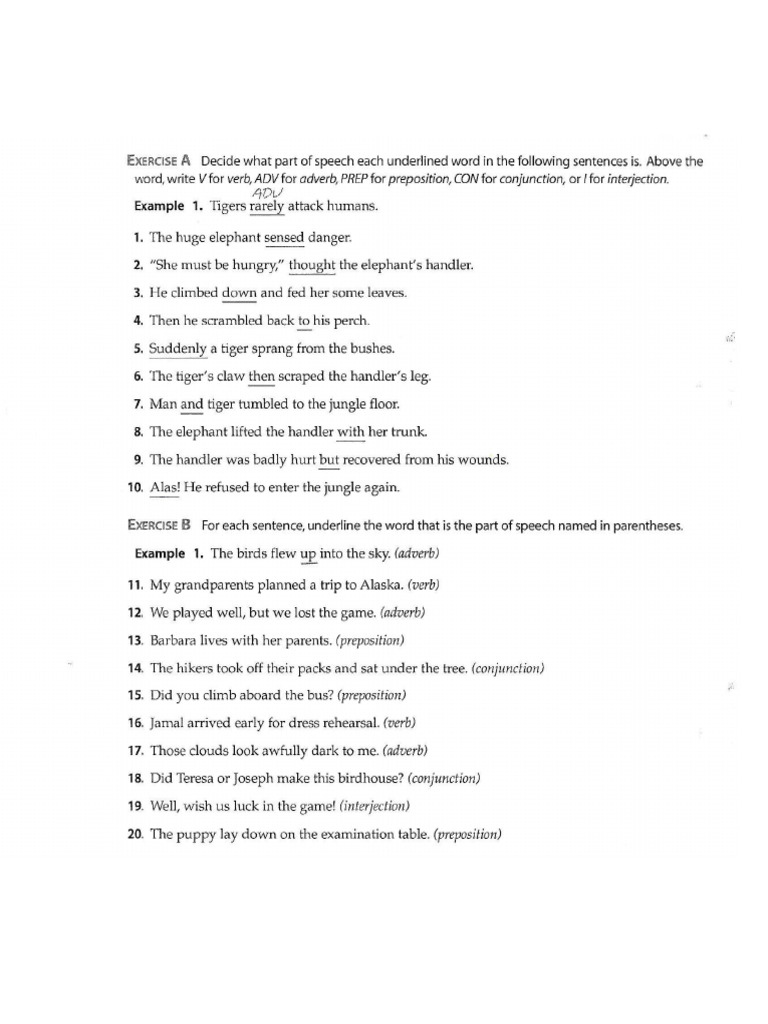 English Bridge Course Grammar Practice | PDF