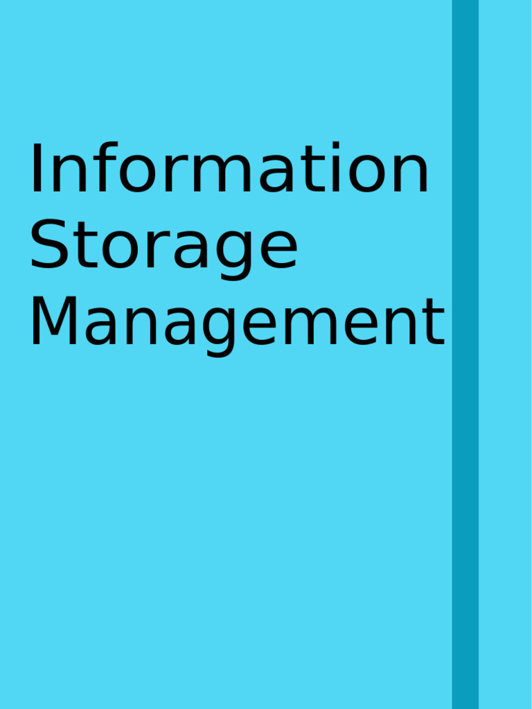 Information Management System 2 | PDF | Hard Disk Drive | Disk Storage