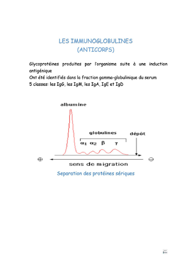 Cours Immunoglobulines Et Système Du Complément | PDF