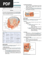 Facial Muscles Lateral View Diagram | PDF | Soft Tissue | Human Anatomy