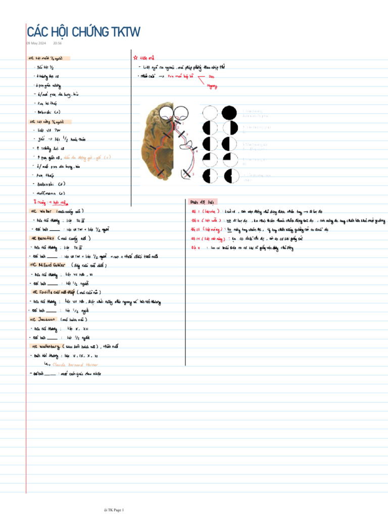 Các H I CH NG TKTW | PDF