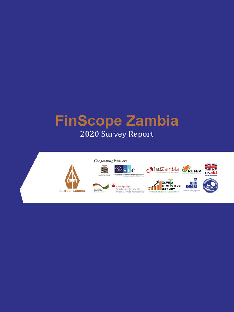 FinScope 2020 Survey Report | PDF | Financial Inclusion | Survey ...