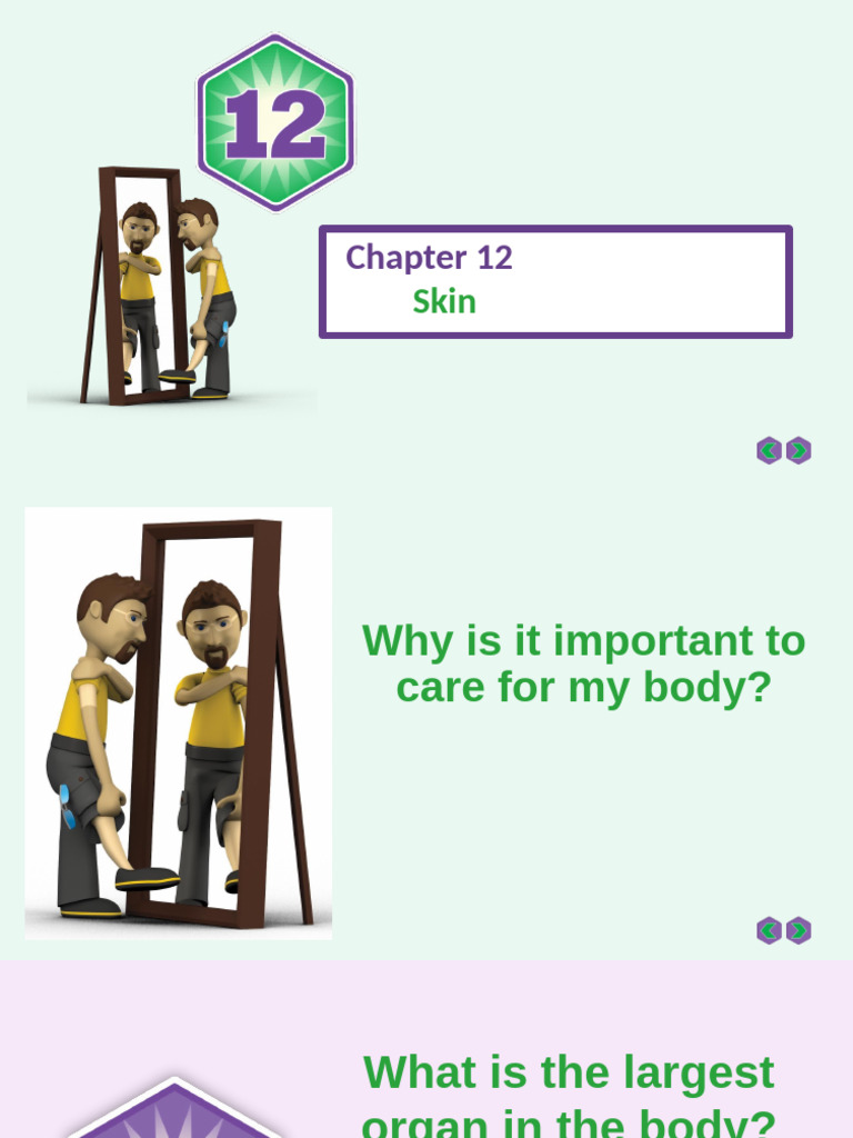 Fun Facts About the Skin | PDF