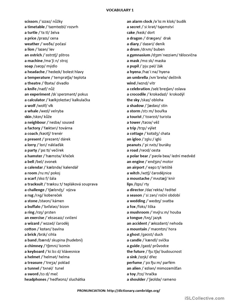 Vocabulary 1 - Vocabulary List | PDF