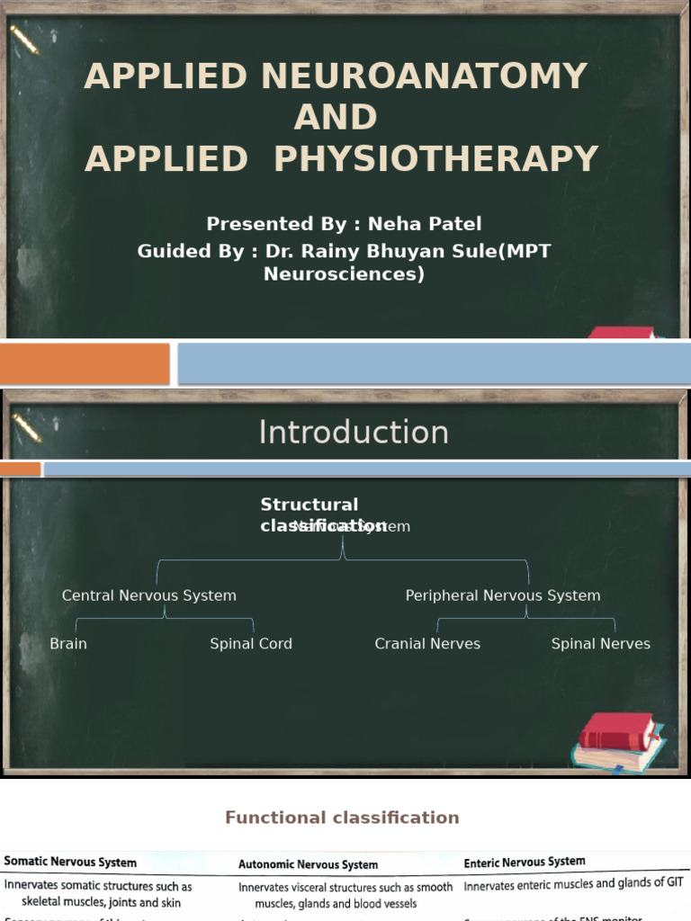 Applied Neuroanatomy & Physiotherapy Guide | PDF | Brainstem | Central ...