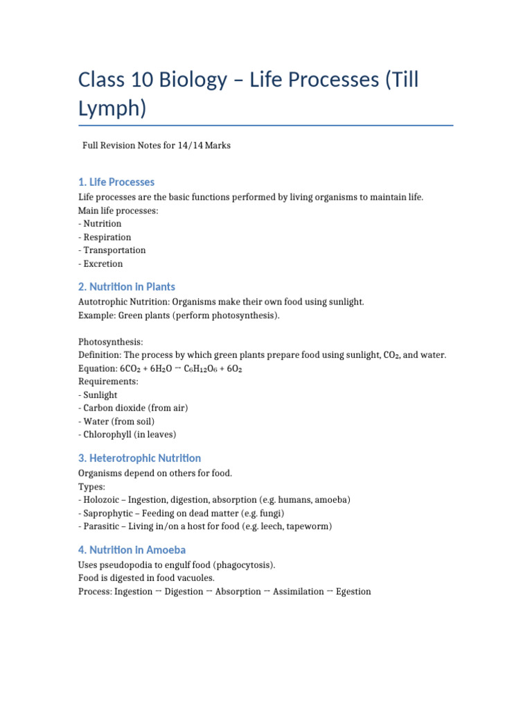 Class 10 Biology Life Processes Guide | PDF | Digestion | Respiratory ...