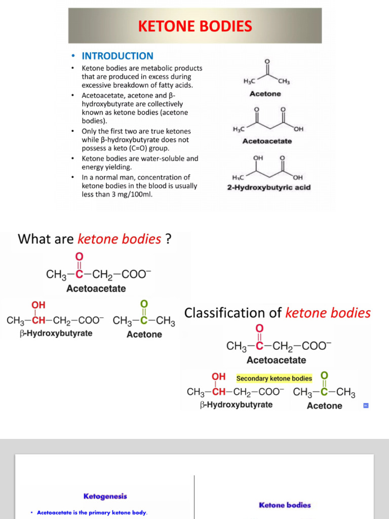 Ketogenesis and Ketolysis | PDF