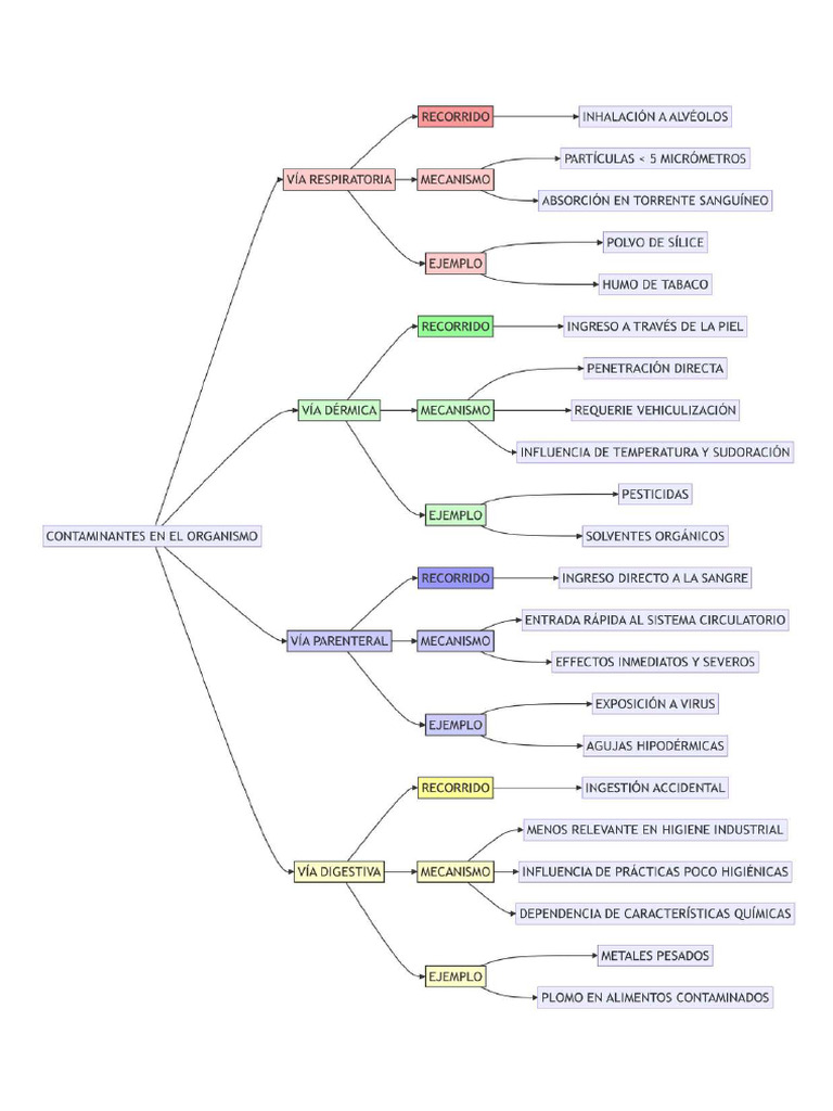 Mapa Def | PDF
