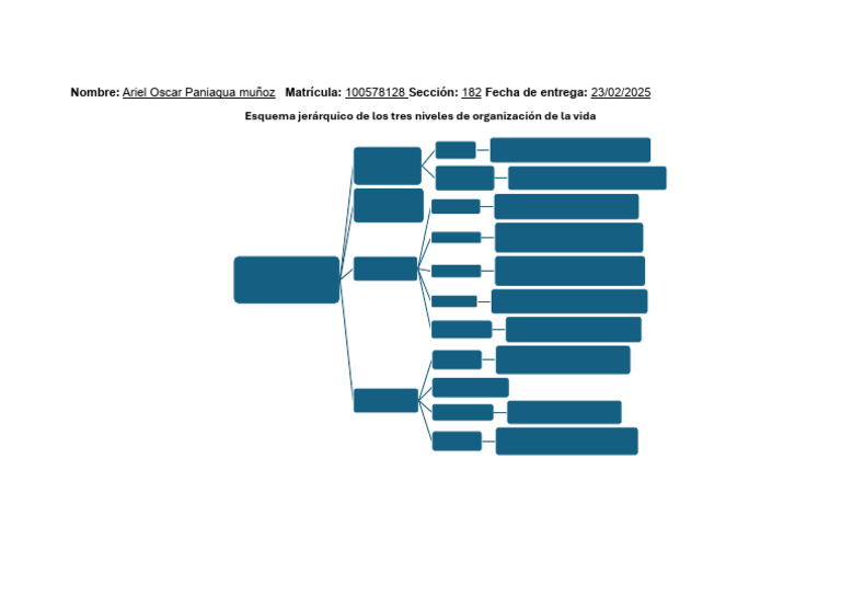 Esquema Jerárquico de Los Tres Niveles de Organización de La Vida | PDF | Ecología | Tejido ...