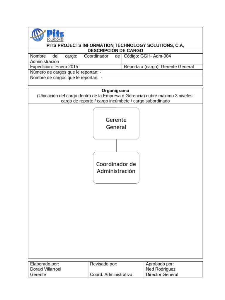 Plantilla Descripción de Cargo Modelo | PDF | Logística | Business