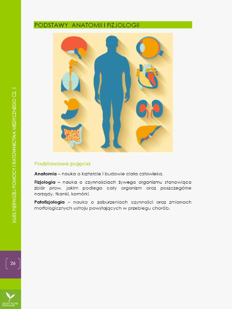 Lekcja 2 Podstawy Anatomii | PDF
