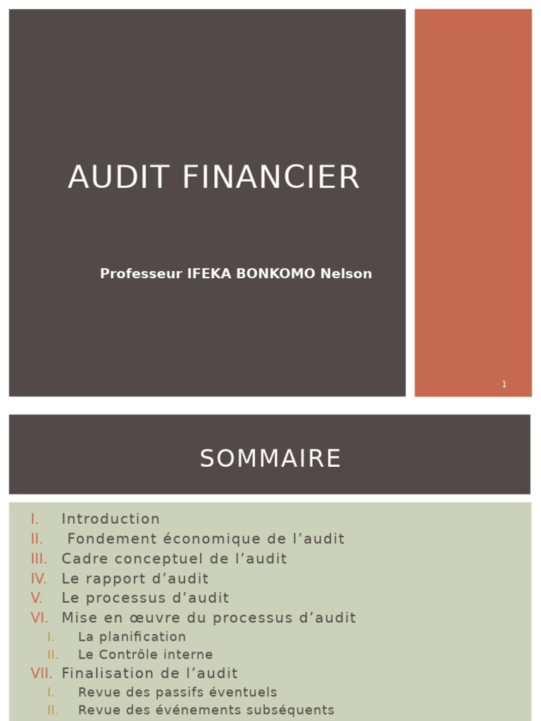 Audit Financier | PDF | Audit | Comptabilité analytique