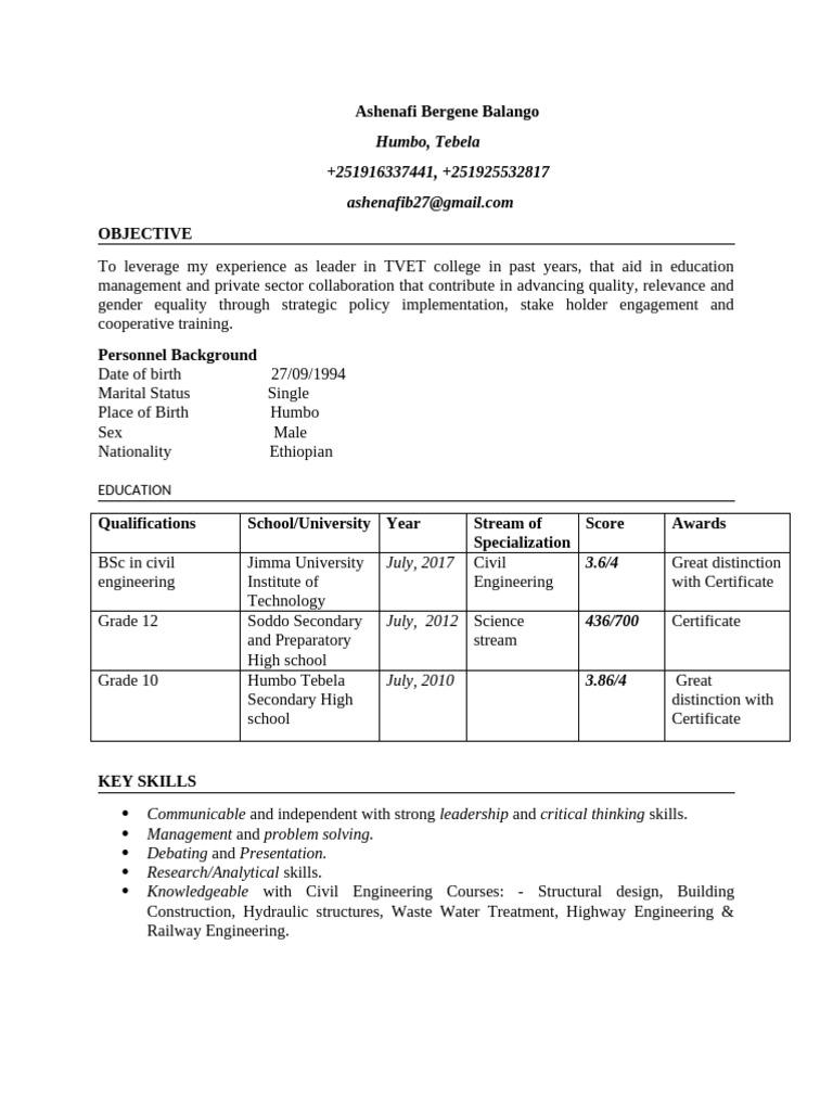 Ashenafi Bergene - Resume GIZ | PDF | Engineering