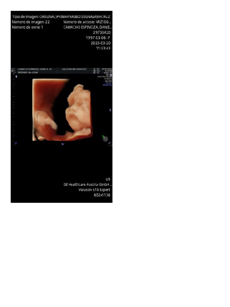 Synapse Mobility | PDF