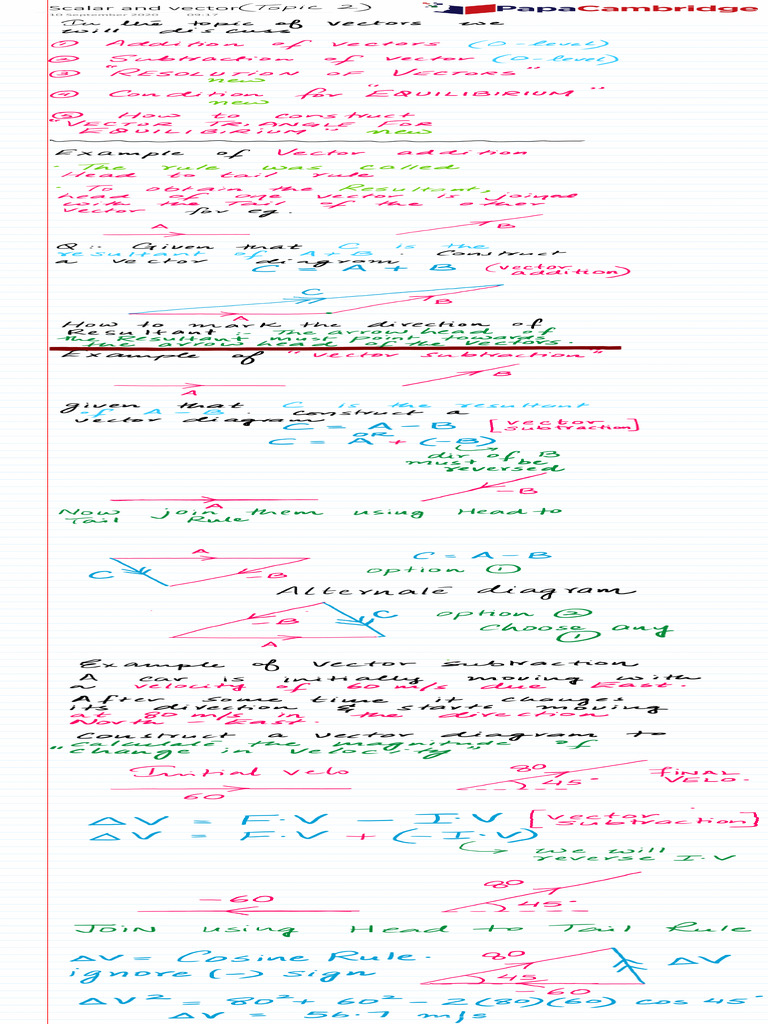 Scalar and Vector | PDF
