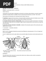Cockroach Ncert | PDF