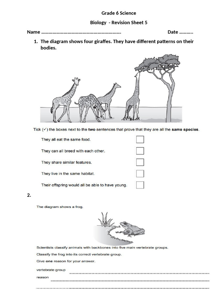 Grade 6 Science Bio Revision Sheet | PDF
