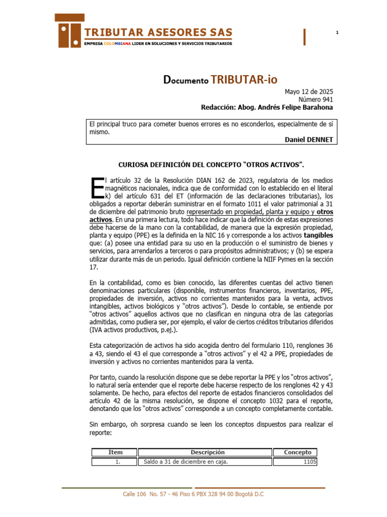 Curiosa Definición Otros Activos Formato 1011 12-5-2025 | PDF | Contabilidad | normas ...