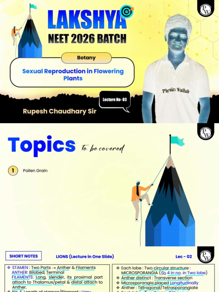 Invert PDF Colors | PDF