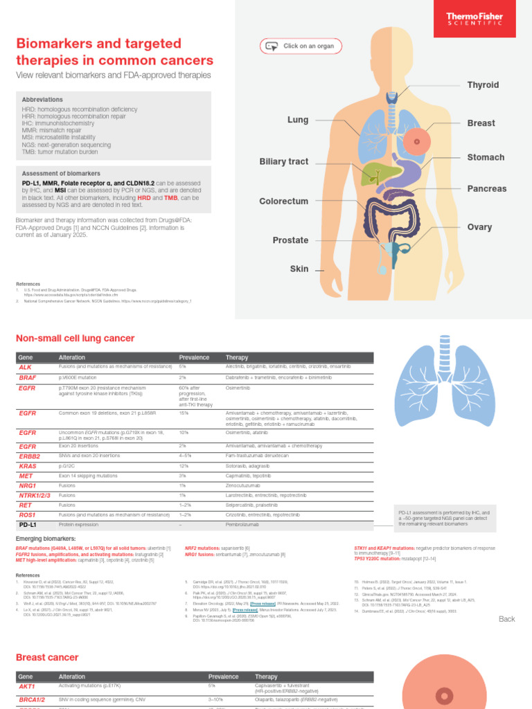 Biomarker and Targeted Therapy Infographic | PDF | Epidermal Growth ...